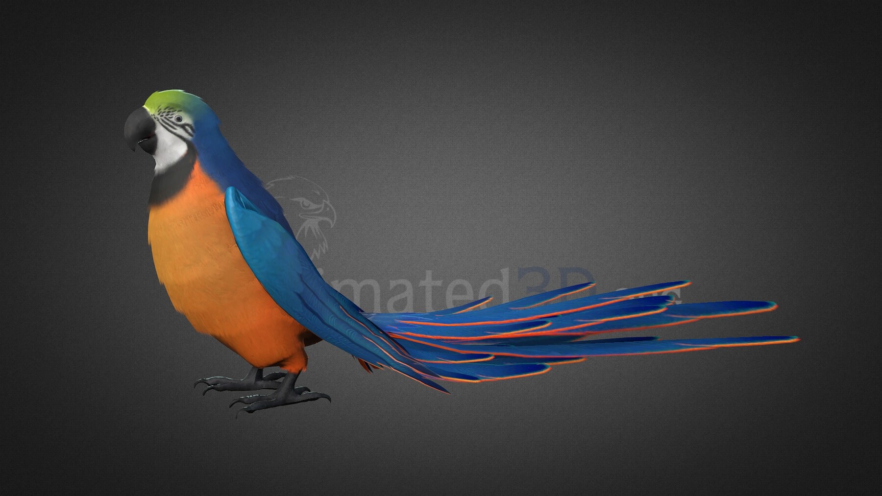 ArtStation - Parrot-1-Idle | Game Assets