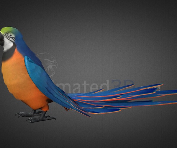 ArtStation - Parrot-1-Idle | Game Assets