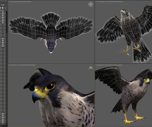 ArtStation - 3D Animated Falcon | Game Assets