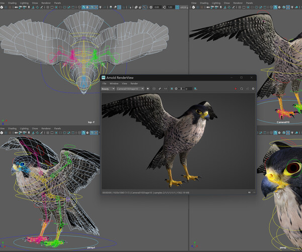 ArtStation - 3D Animated Falcon | Game Assets