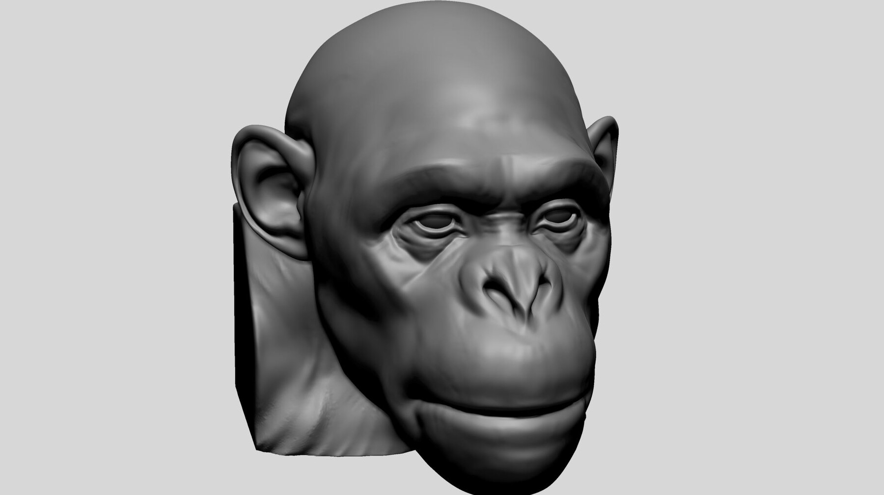 ArtStation - Chimp Head | Resources
