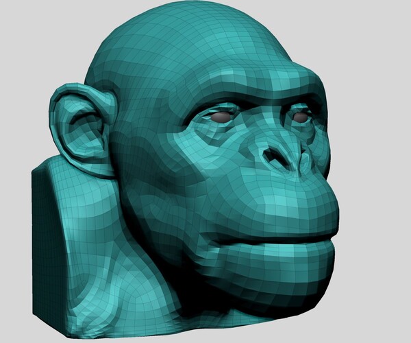ArtStation - Chimp Head | Resources