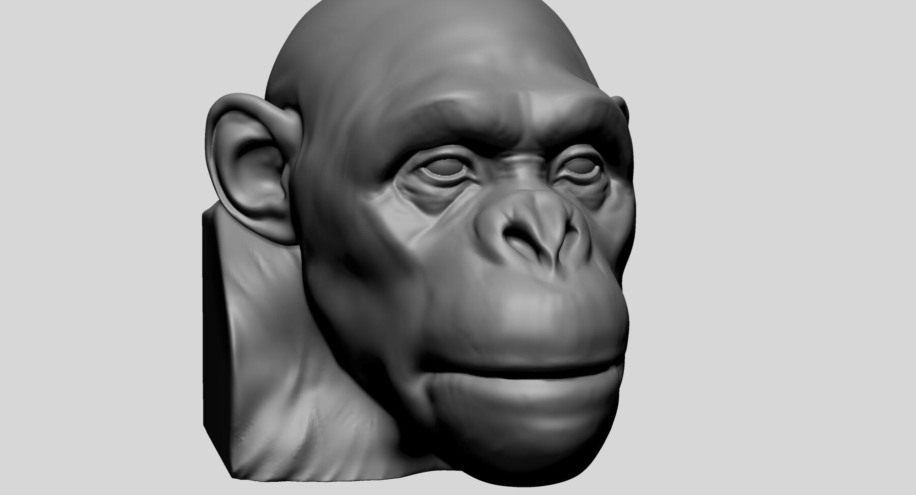 ArtStation - Chimp Head | Resources