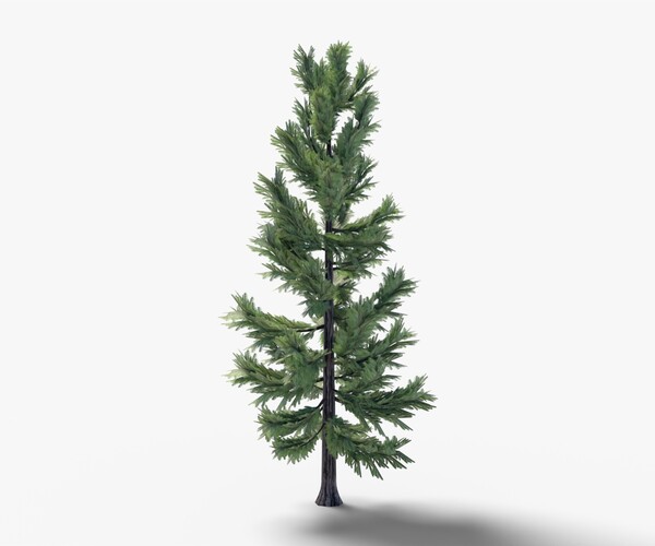 ArtStation - 3D Model: Low Poly Pine Tree | Resources