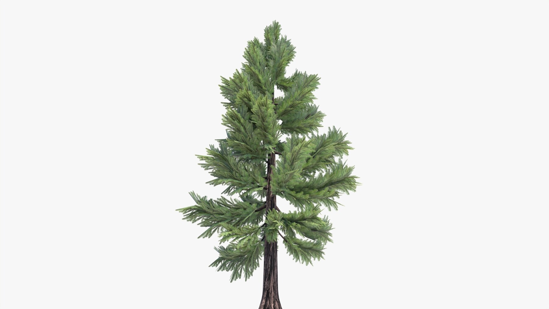 ArtStation - 3D Model: Low Poly Pine Tree | Resources
