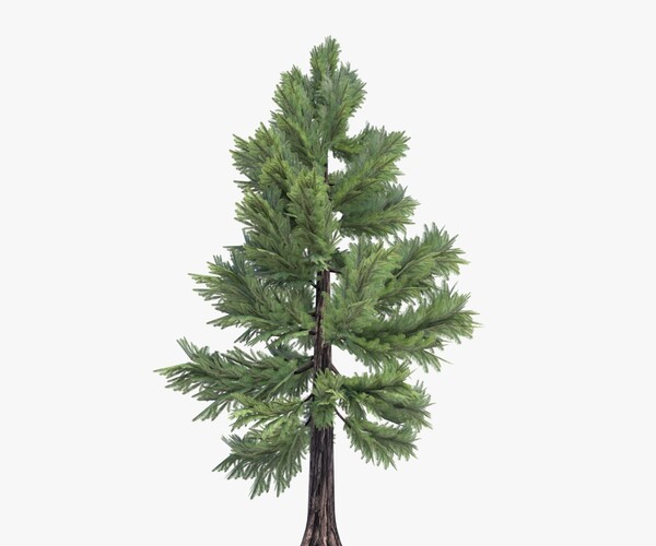 ArtStation - 3D Model: Low Poly Pine Tree | Resources