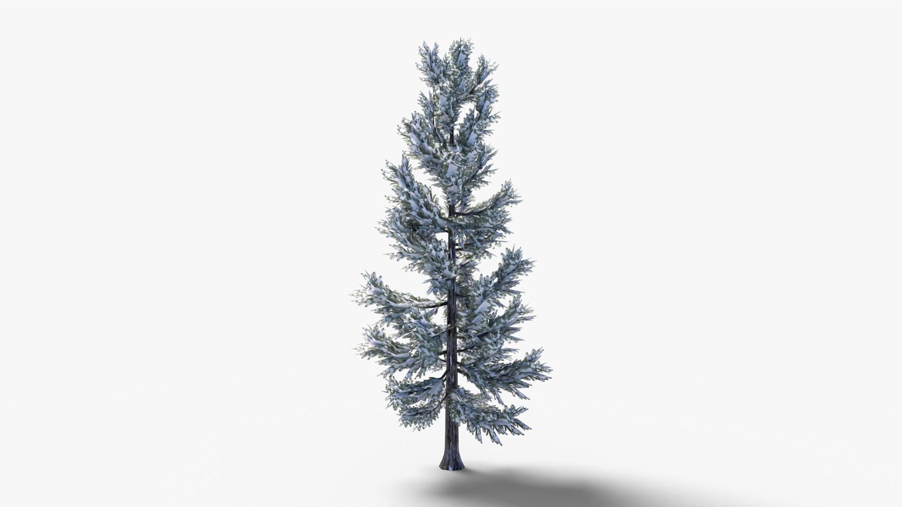 ArtStation - 3D Model: Low Poly Pine Tree | Resources