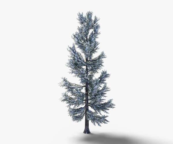 ArtStation - 3D Model: Low Poly Pine Tree | Resources