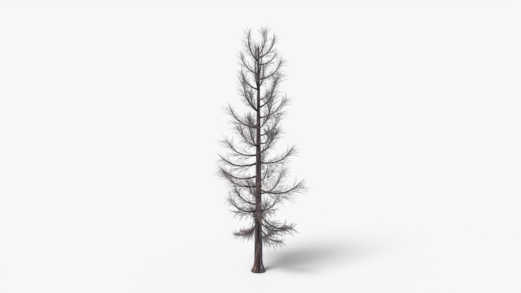 ArtStation - 3D Model: Low Poly Pine Tree | Resources