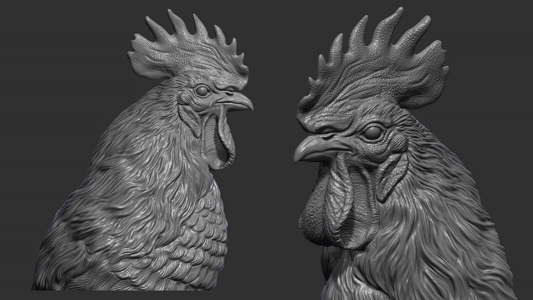 ArtStation - Rooster bust | Resources