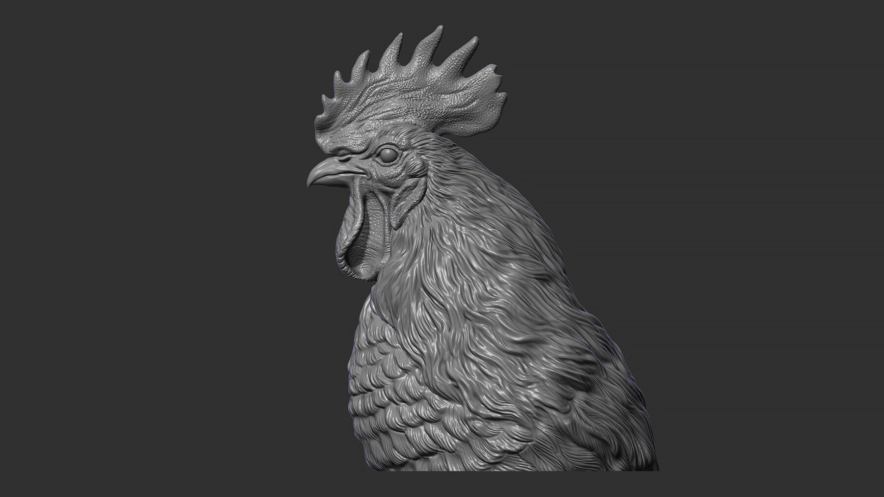 ArtStation - Rooster bust | Resources