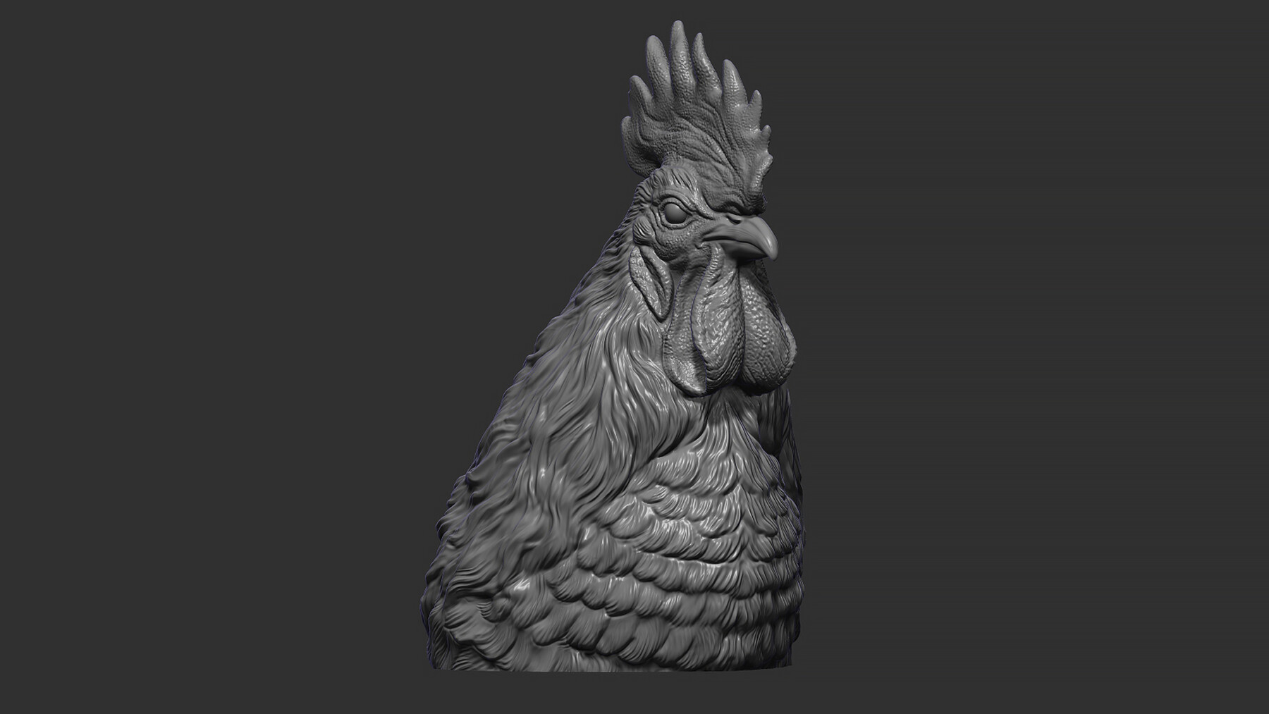 ArtStation - Rooster bust | Resources