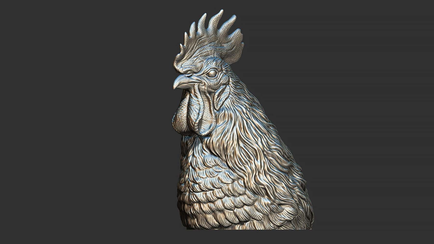 ArtStation - Rooster bust | Resources