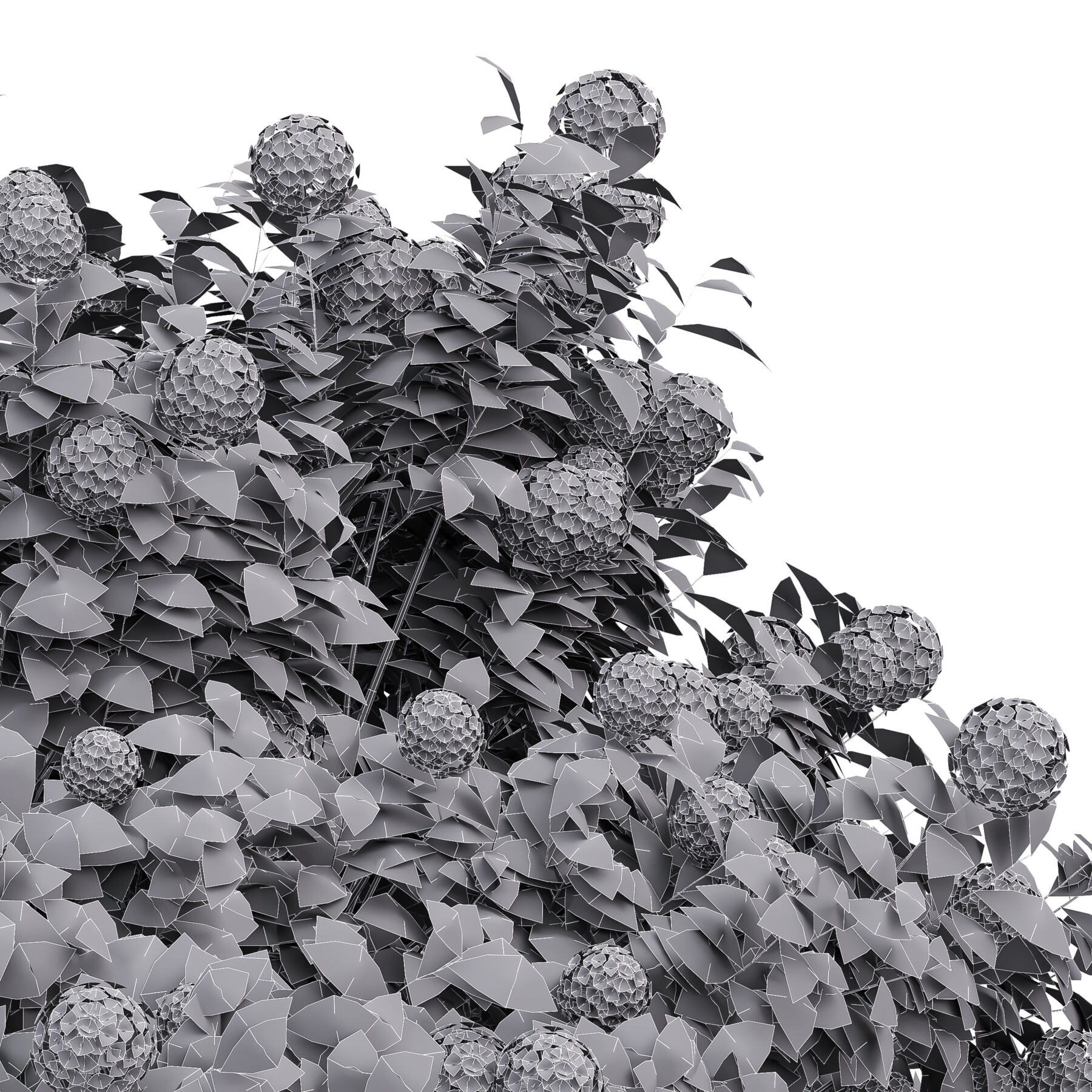 ArtStation - Edgeworthia Chrysantha Paperbush Viburnum Opulus Roseum ...
