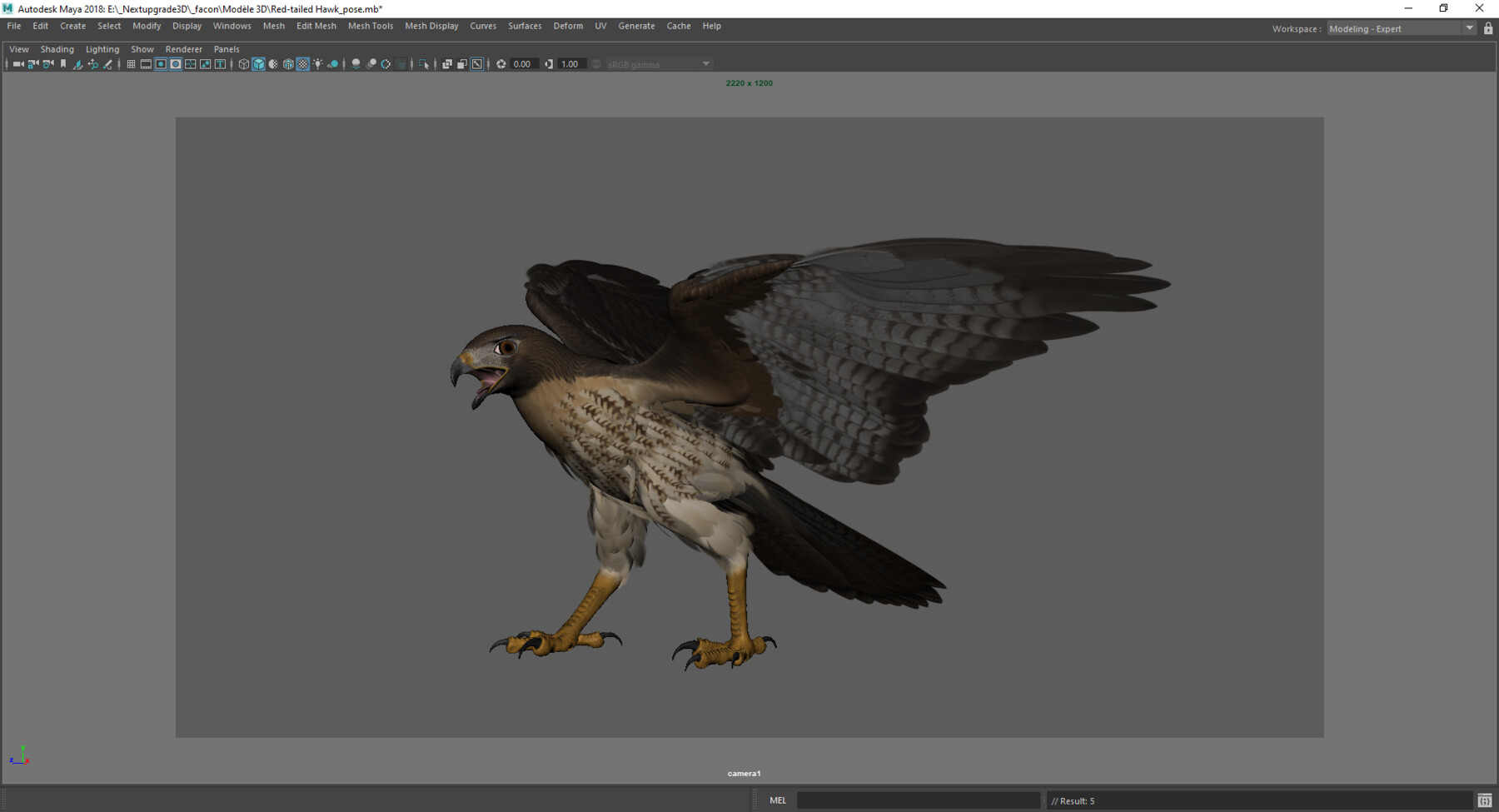 ArtStation - Stunning 3D Model of a Majestic Falcon Wildlife ...