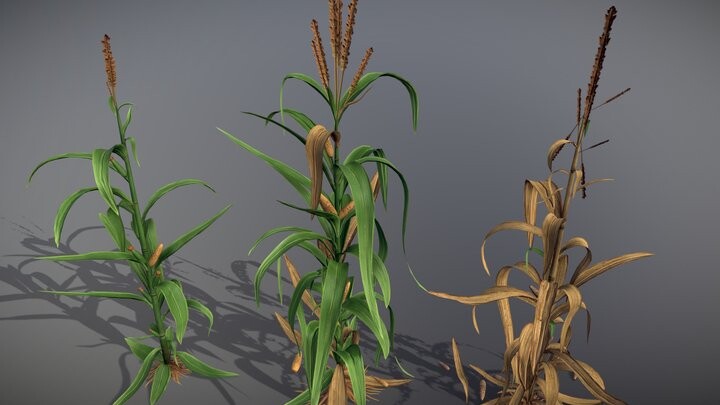 ArtStation - Modular corn | Game Assets