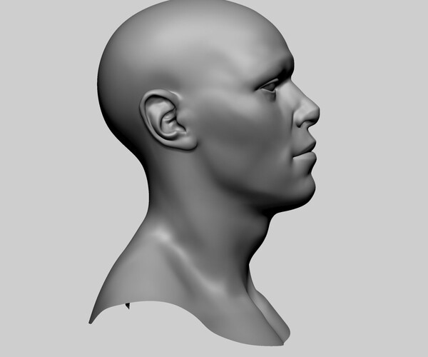 ArtStation - Base Male Head H | Resources