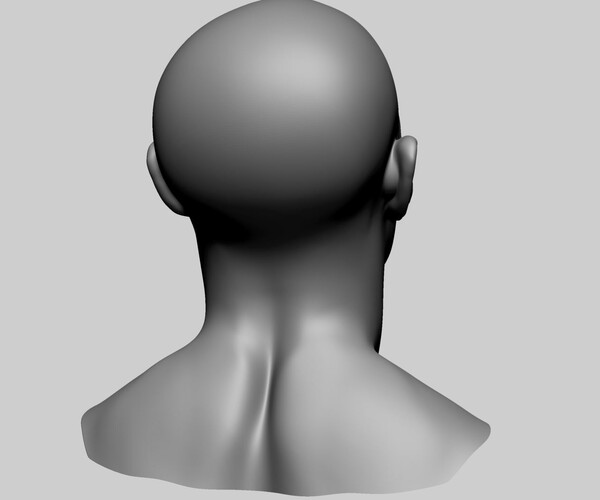 ArtStation - Base Male Head H | Resources