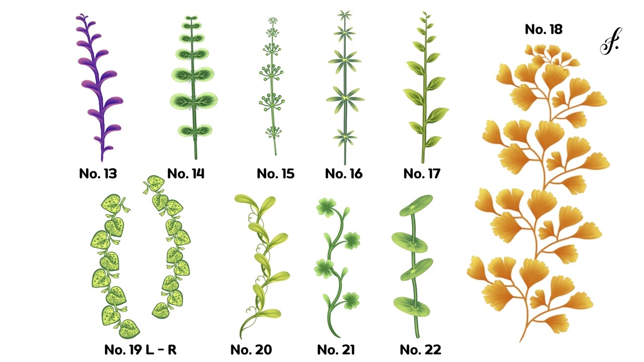 ArtStation - Procreate Flowers | 131 Procreate Effortless Flower ...