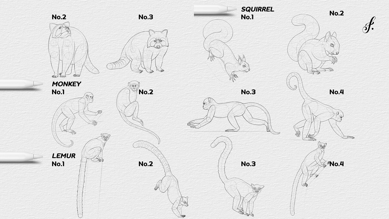 ArtStation - Procreate Animal Stamps | 95 Procreate Animal Brushes ...