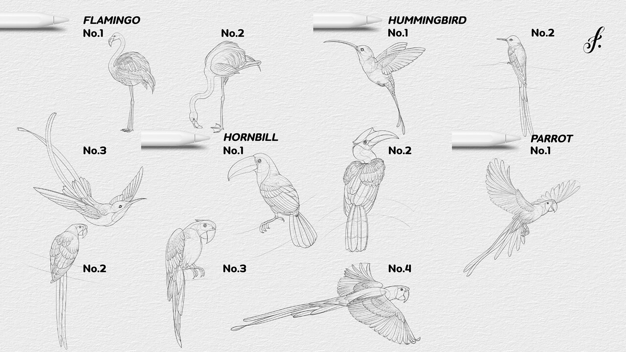 ArtStation - Procreate Animal Stamps | 95 Procreate Animal Brushes ...