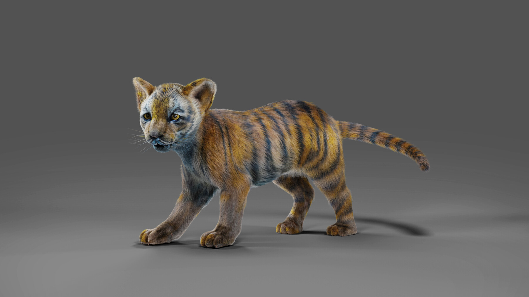 ArtStation - Fur Tiger Cub Rigged and Animated in Blender | Game Assets