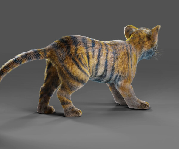 ArtStation - Fur Tiger Cub Rigged and Animated in Blender | Game Assets