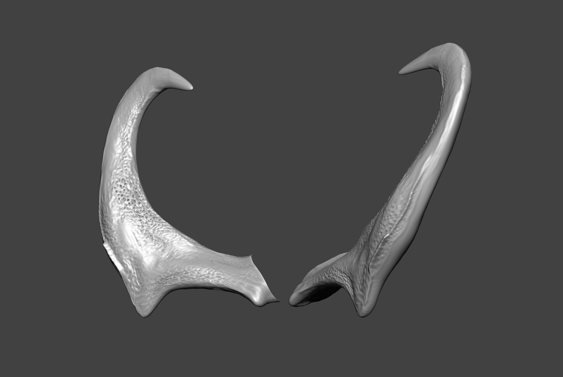 ArtStation - 8 IMM Creature horns set (OBJ & ZTOOL FILES) | Brushes