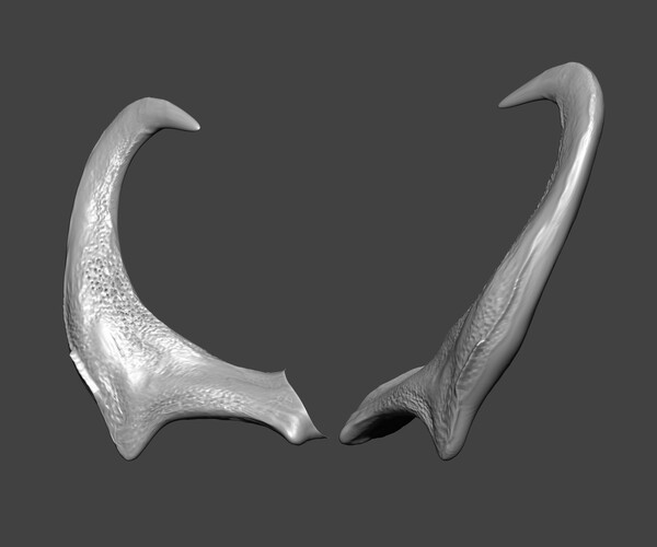 ArtStation - 8 IMM Creature horns set (OBJ & ZTOOL FILES) | Brushes