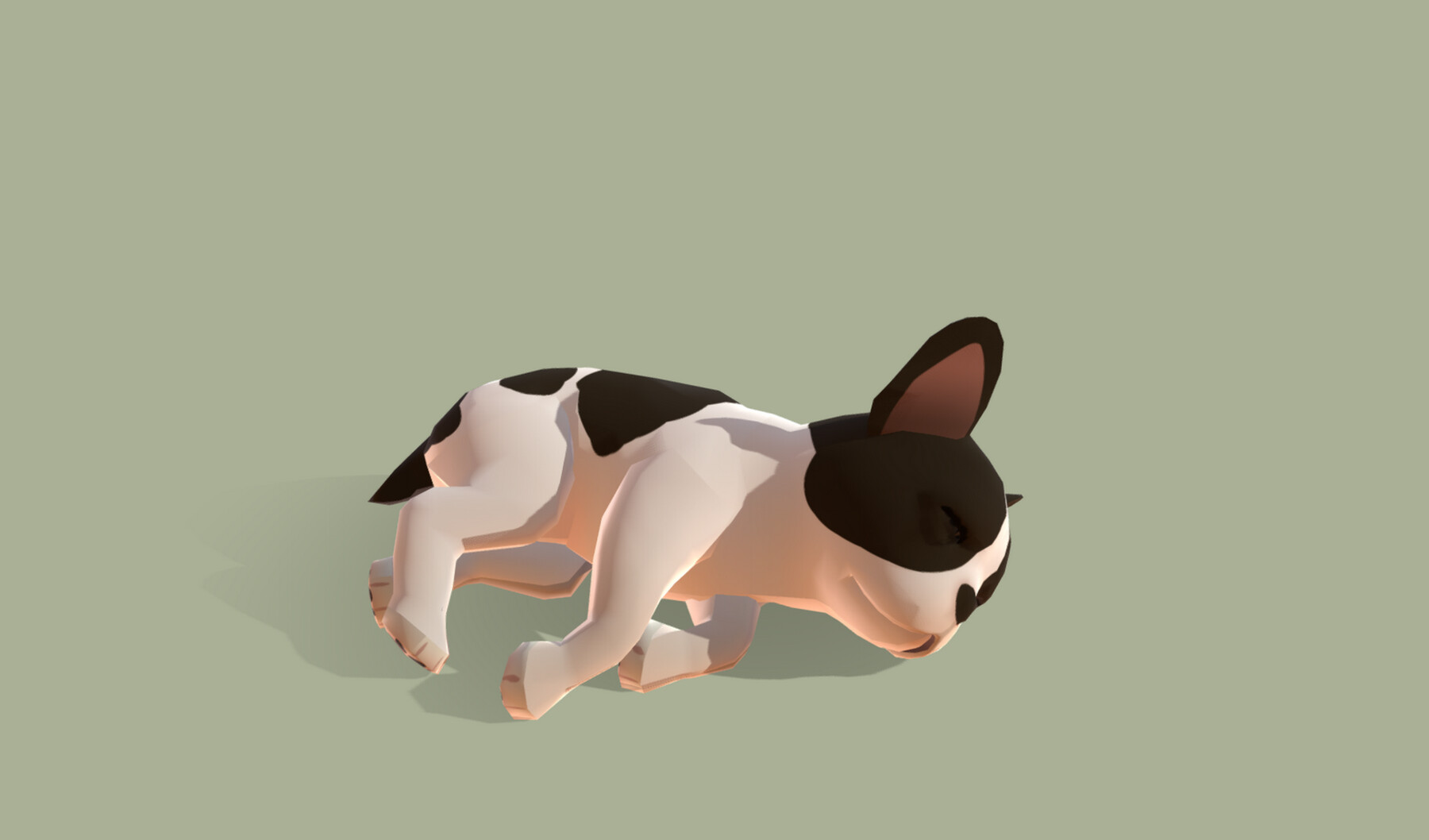 ArtStation - DOG Full Animations - Boston Terrier | Game Assets