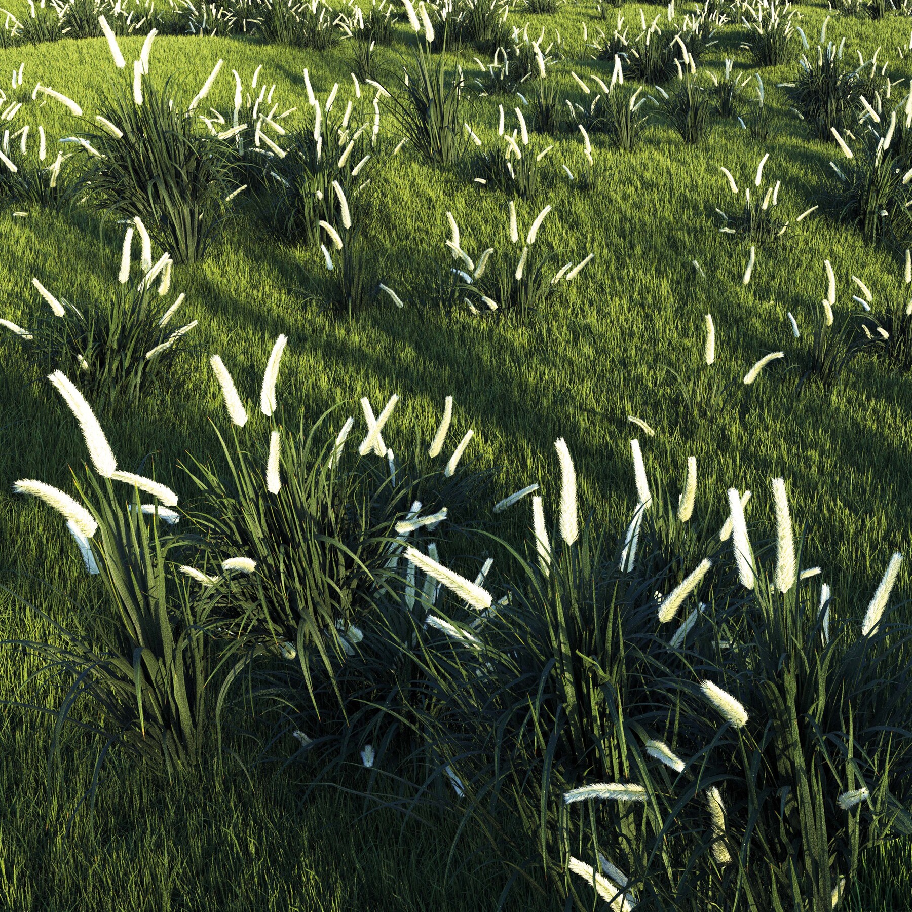 ArtStation - Forest Grass _101 | Resources