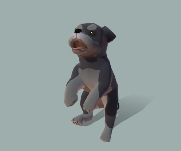 ArtStation - DOG Full Animations - Schnauzer | Game Assets