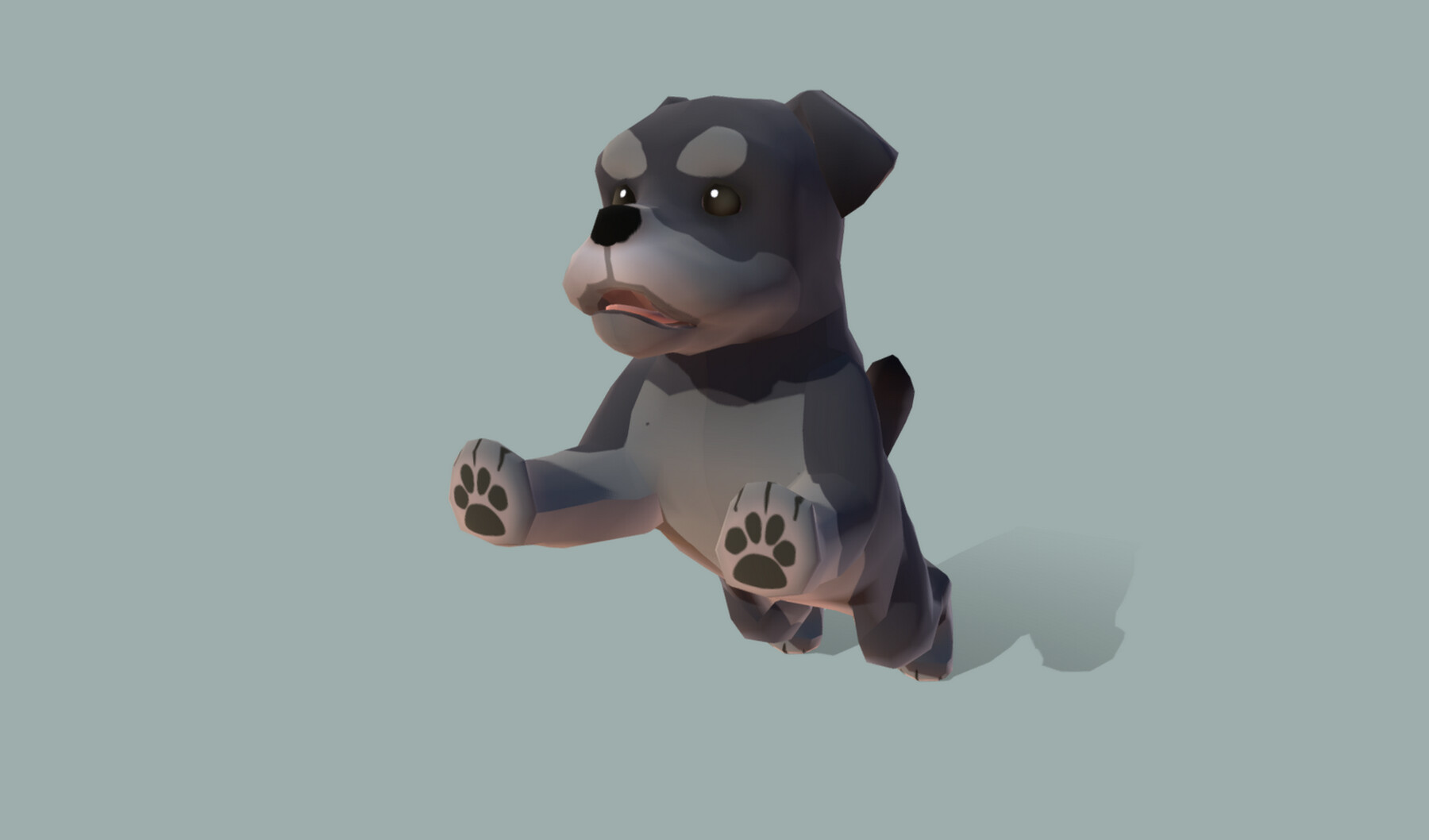 ArtStation - DOG Full Animations - Schnauzer | Game Assets