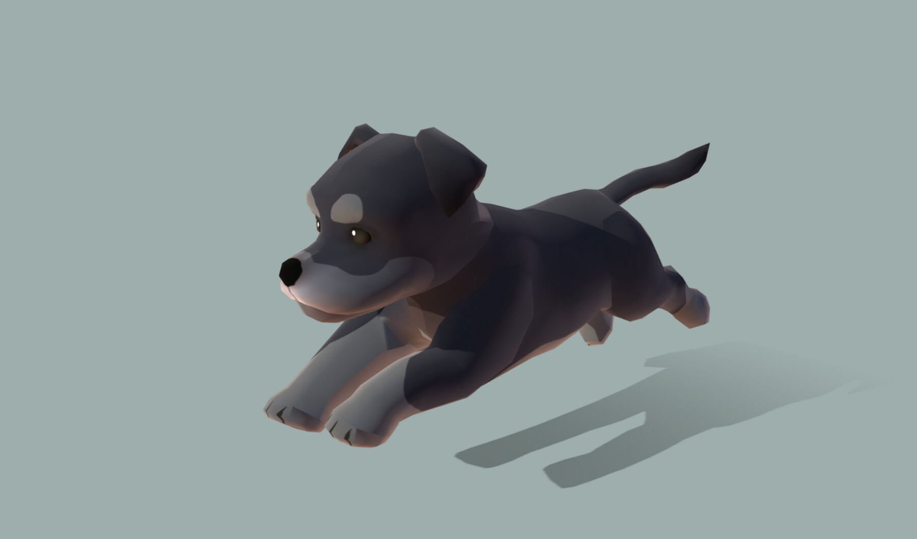 ArtStation - DOG Full Animations - Schnauzer | Game Assets