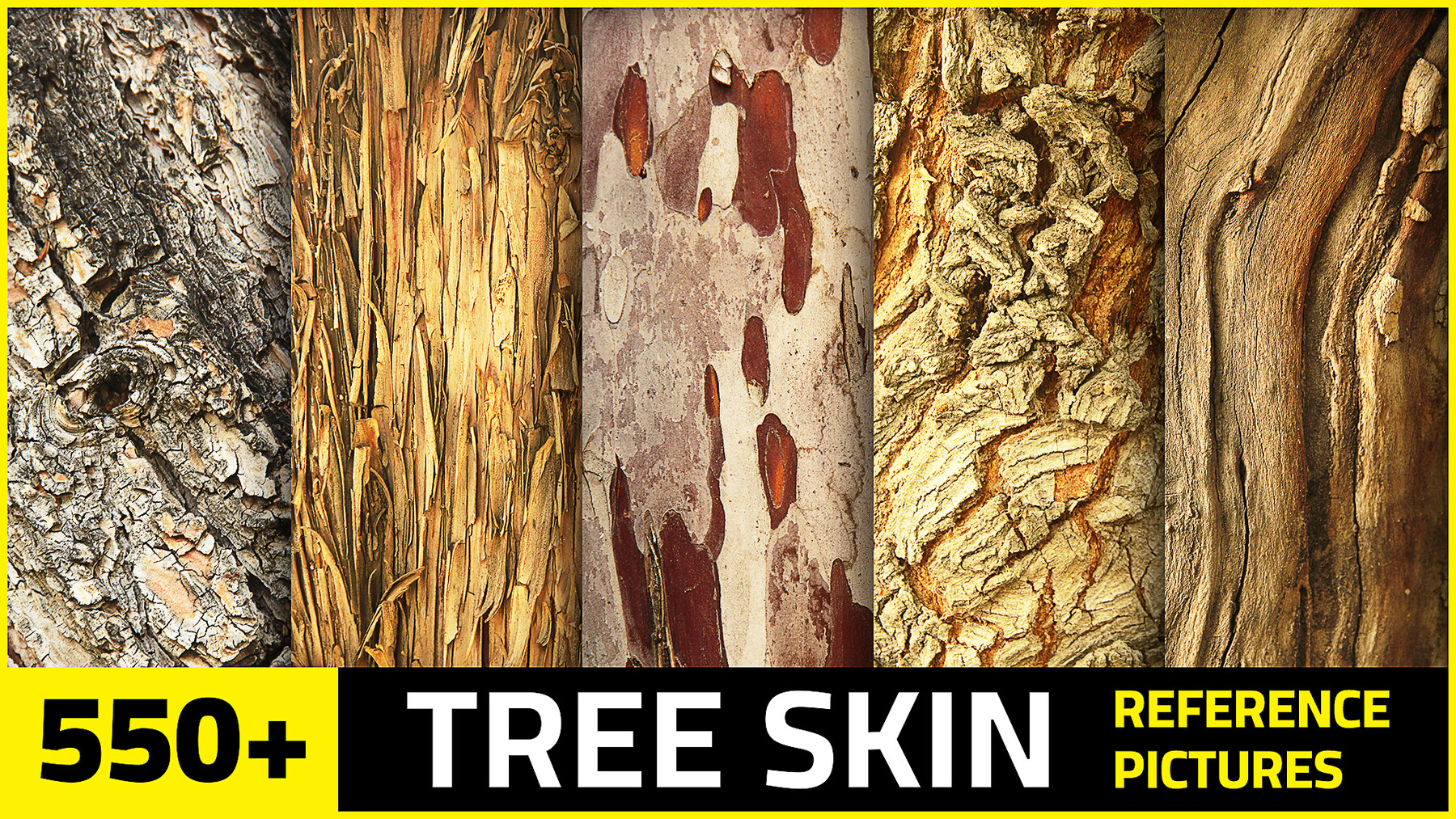 ArtStation - 550+ TREE SKIN Reference Pictures | Resources