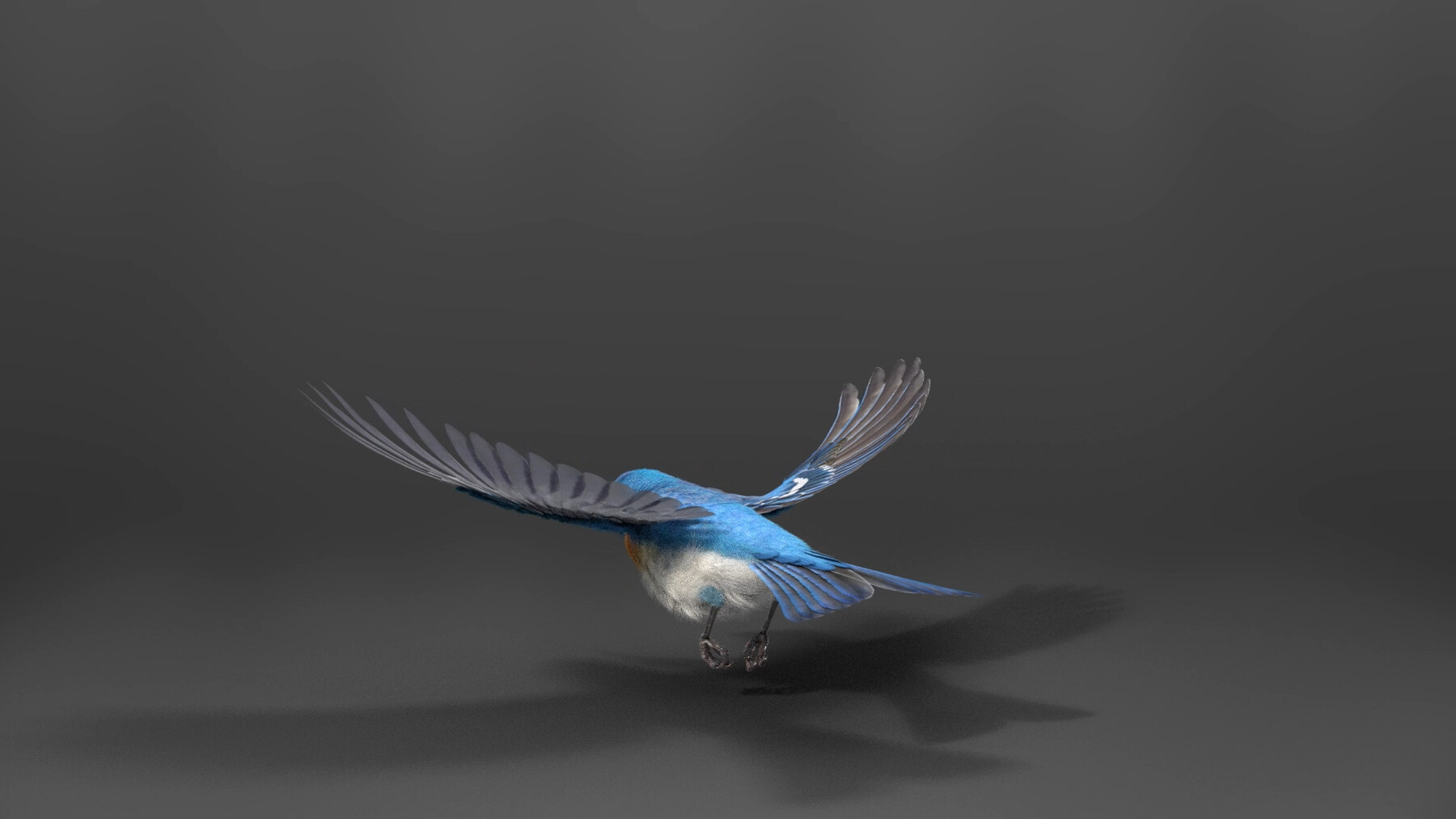 ArtStation - Lazuli Bunting Bird Animated | VFX Grace | Game Assets