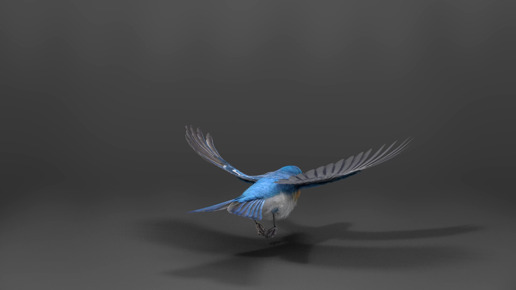 ArtStation - Lazuli Bunting Bird Animated | VFX Grace | Game Assets