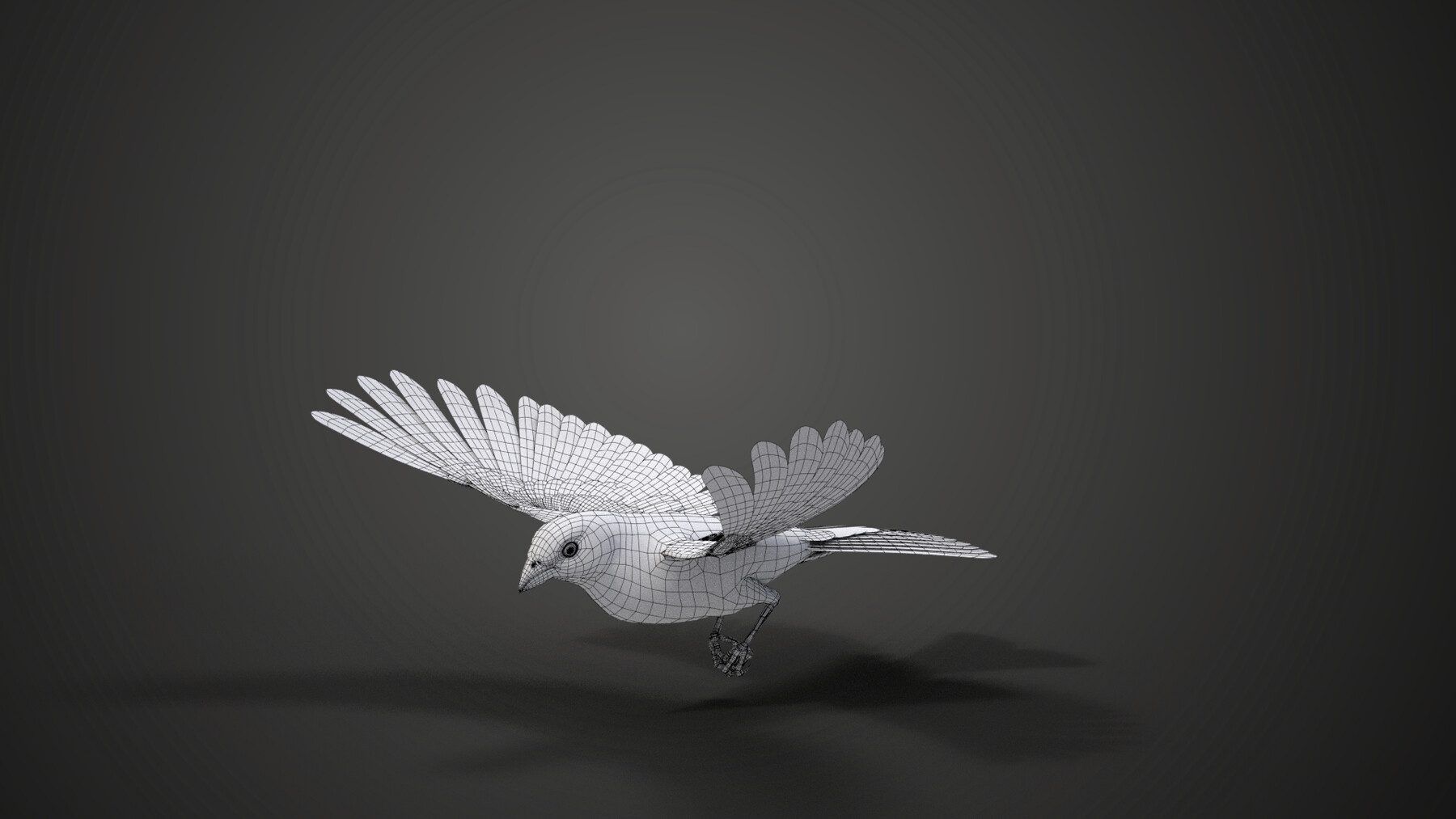 ArtStation - Lazuli Bunting Bird Animated | VFX Grace | Game Assets