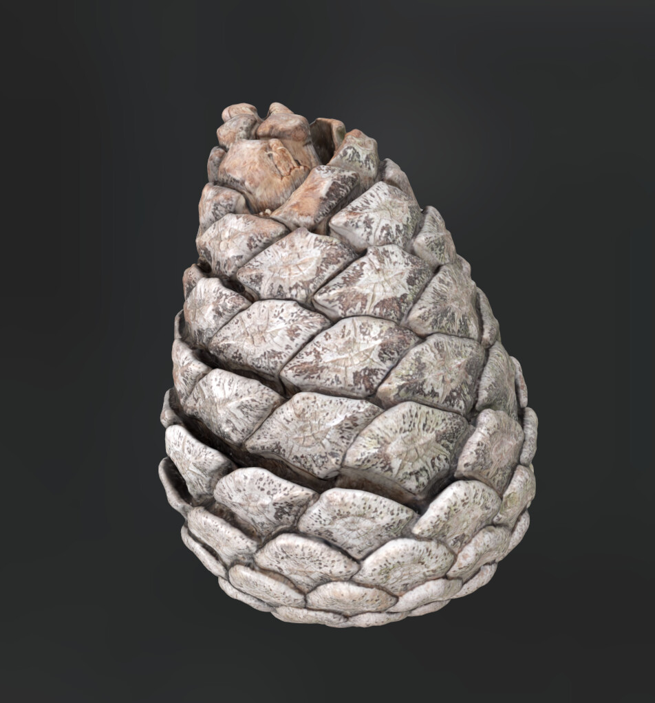 ArtStation - Pinecone from real! | Game Assets