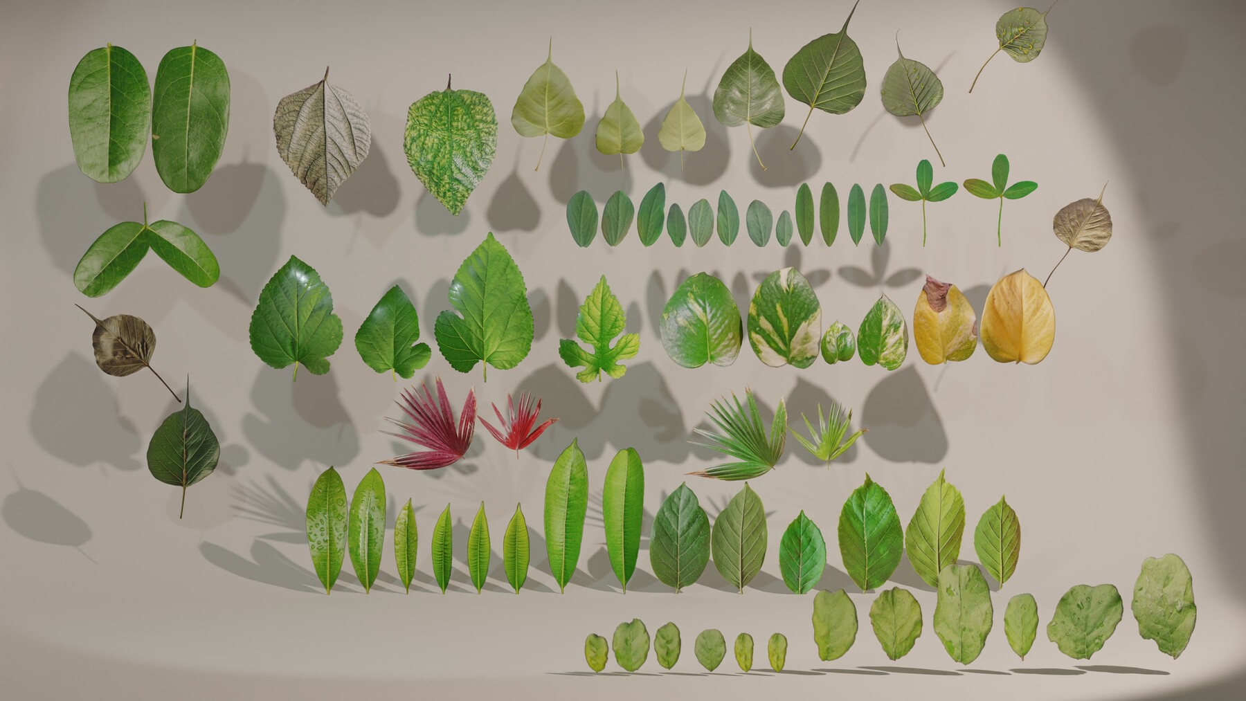 ArtStation - 60+ Leaves Pack (PBR, Game-Ready) | Game Assets