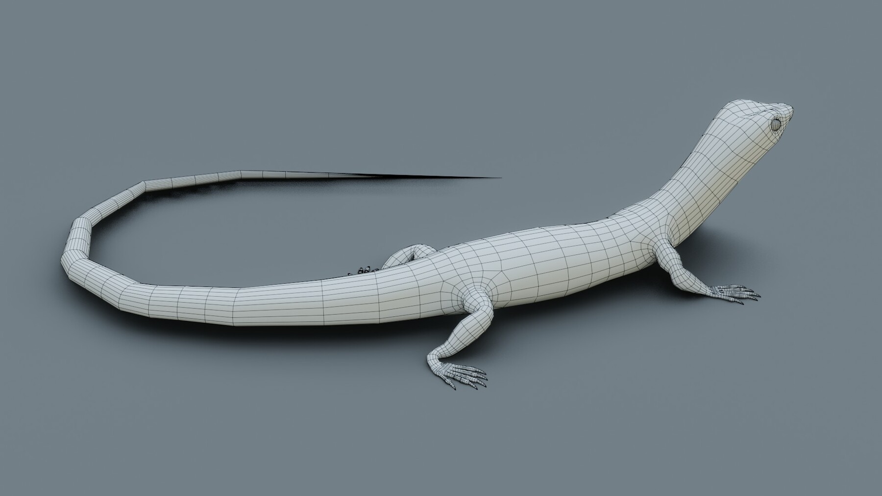 ArtStation - Lizard - Low Poly - Game Ready - PBR - Rigged - PBR | Game ...