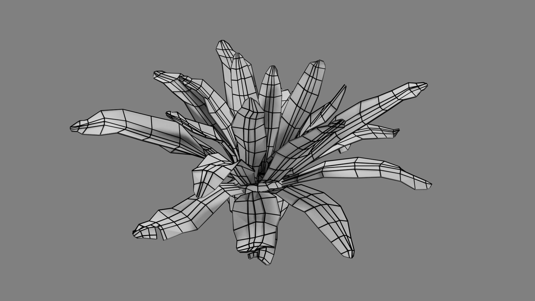 ArtStation - Birds Nest Fern | VFX Grace | Game Assets