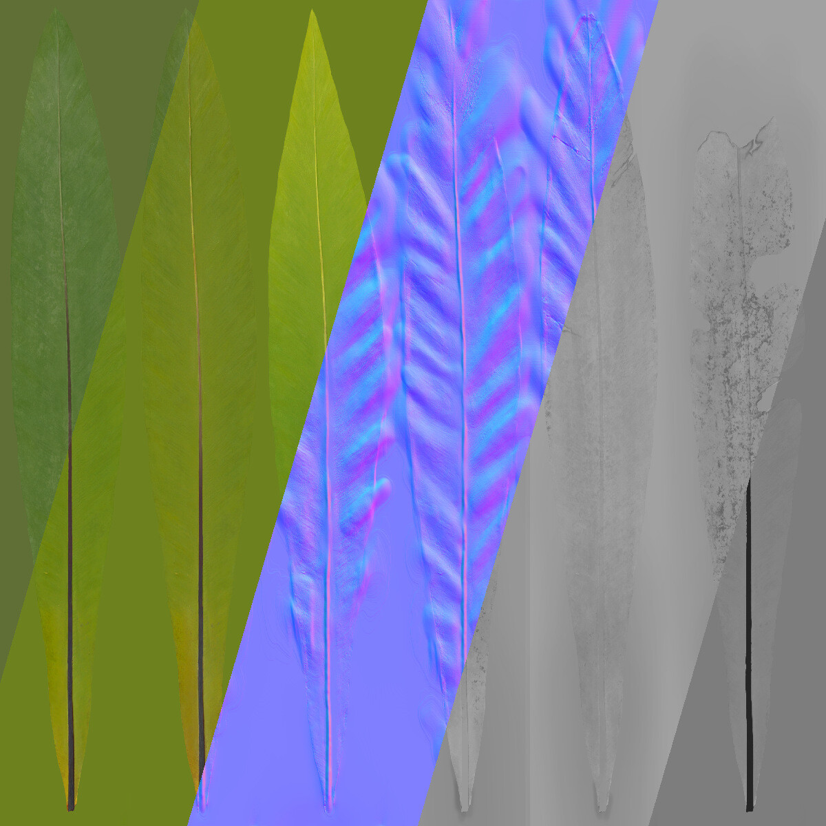 ArtStation - Birds Nest Fern | VFX Grace | Game Assets