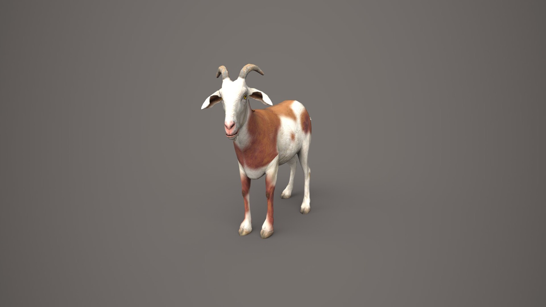 ArtStation - Dairy Brown Goat | Game Assets
