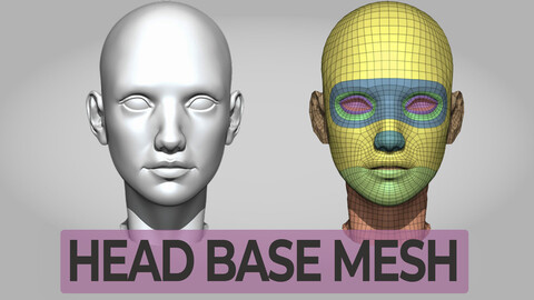 ArtStation - Head base mesh with Retopology | Resources