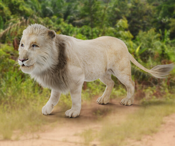 ArtStation - Fur White Lion Rigged and Animation in Blender | Game Assets