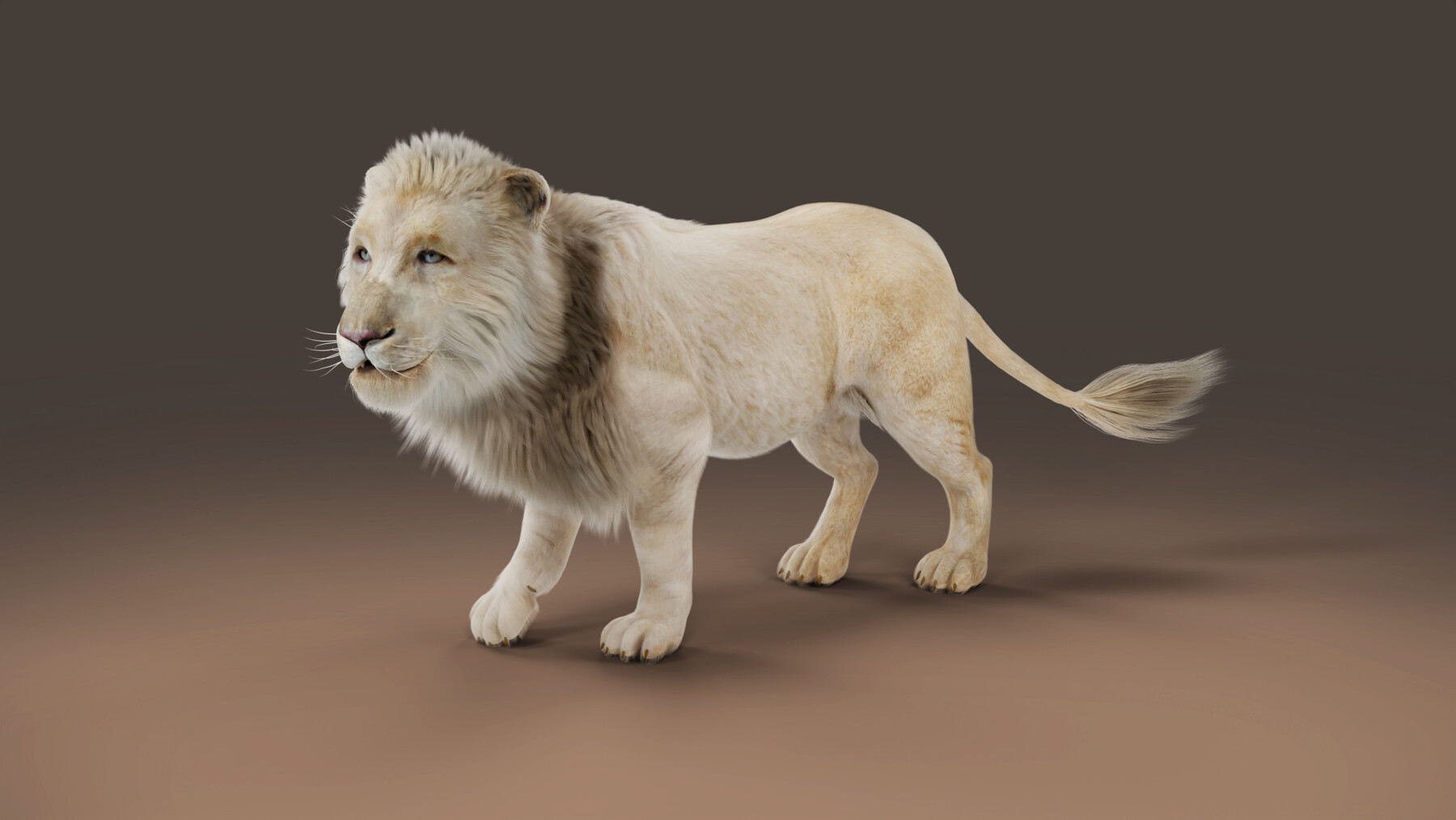 ArtStation - Fur White Lion Rigged and Animation in Blender | Game Assets