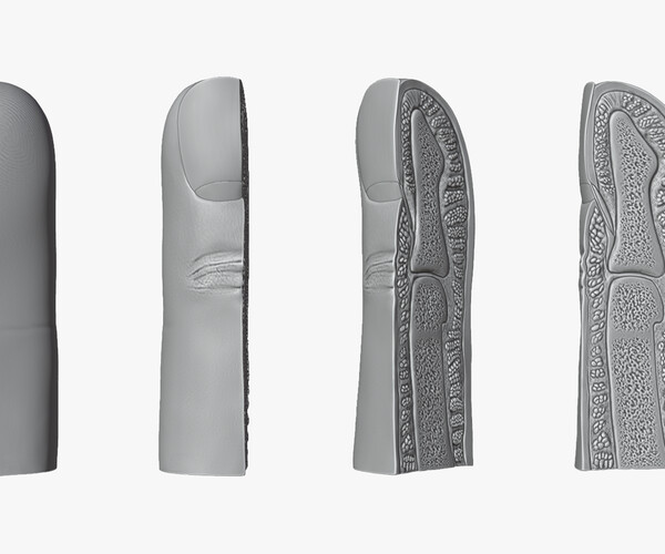 ArtStation - Finger and Fingernail Cross Section Anatomy | Resources
