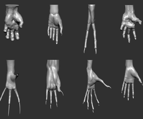 ArtStation - 8 IMM Creature & Monster hands set (OBJ & ZTOOL FILES ...