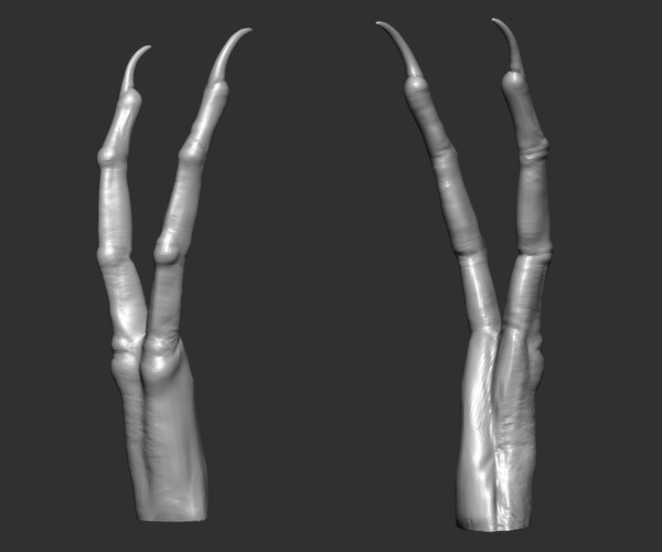 ArtStation - 8 IMM Creature & Monster hands set (OBJ & ZTOOL FILES ...